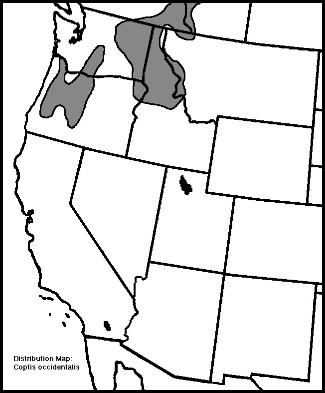 Distribution Maps